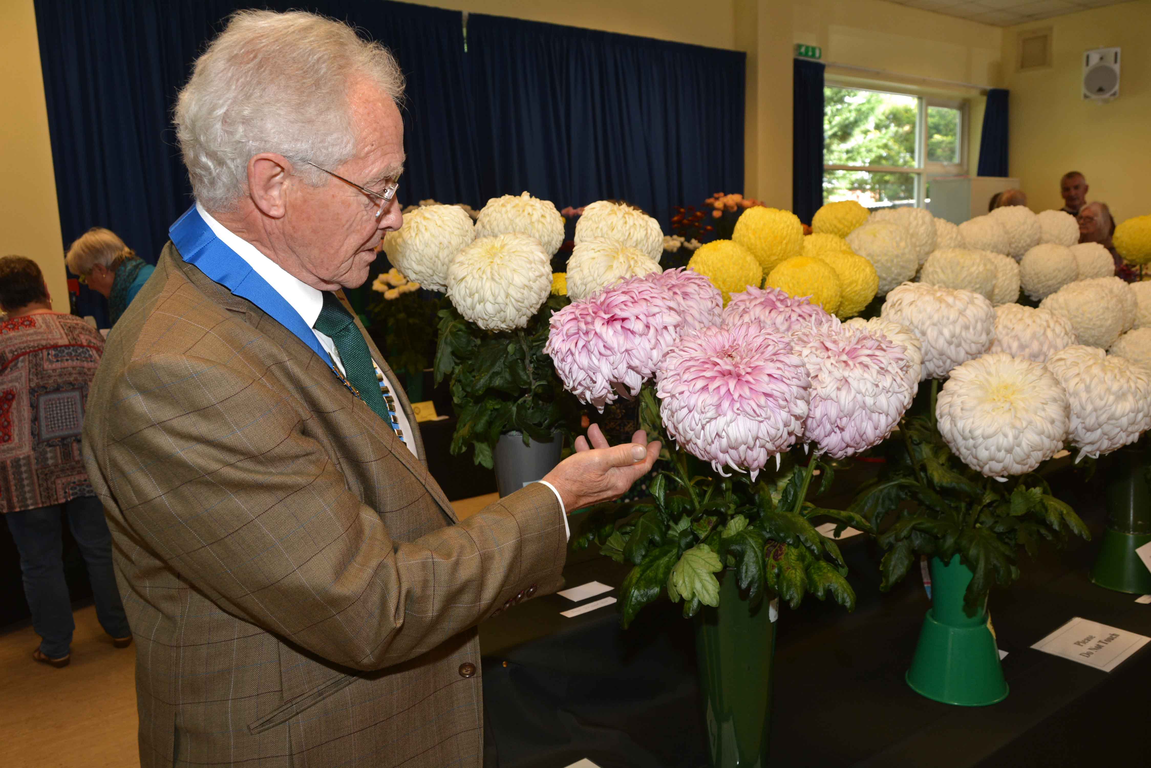 Michael Whitehurst (Society President) | Stone Chrysanthemum and Dahlia ...